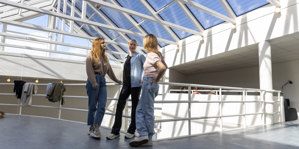 Study in English at VIA University College | VIA