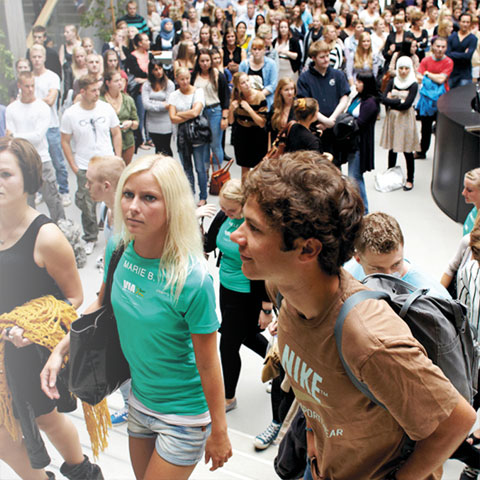 What is a professional bachelor's degree? | VIA
