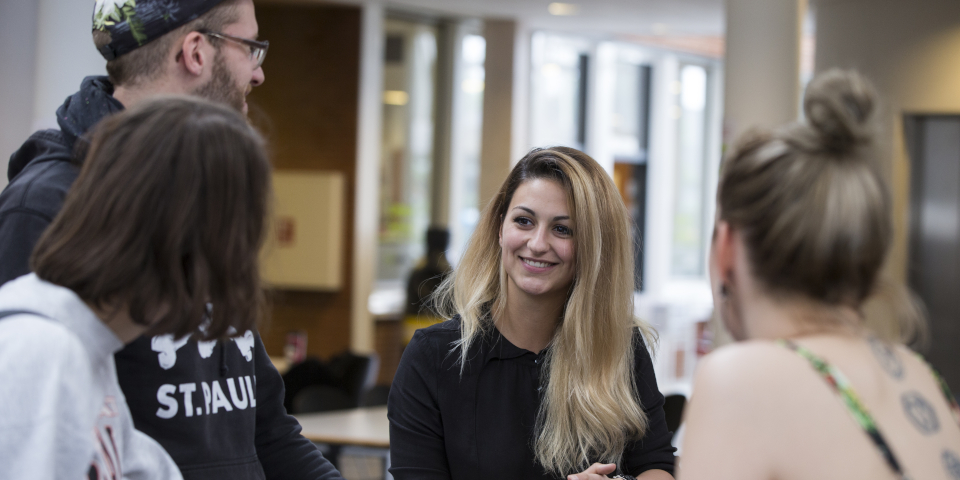 What is a professional bachelor's degree? | VIA