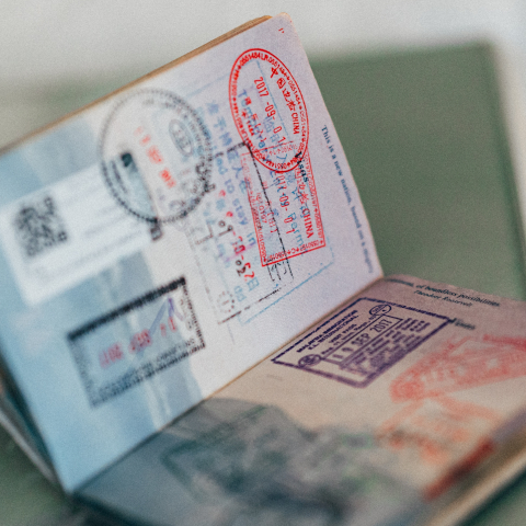 Visa and residence permit application in Denmark | VIA