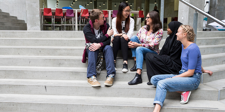 What is VIA Summer School? Find out here!